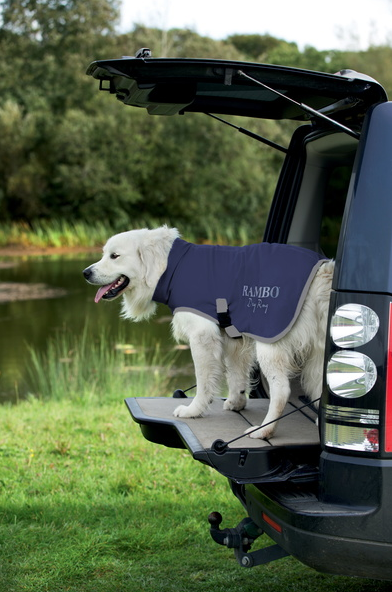 Hund – Munka Lantmän